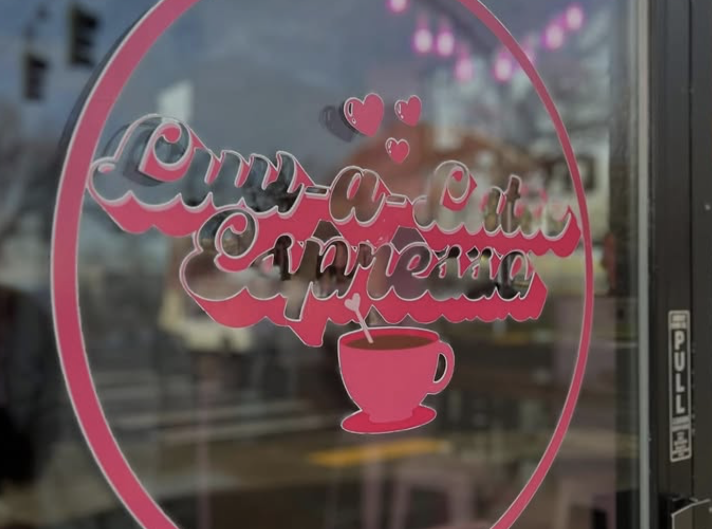 Collective Care Starts Here… — Indigo Movement Seattle